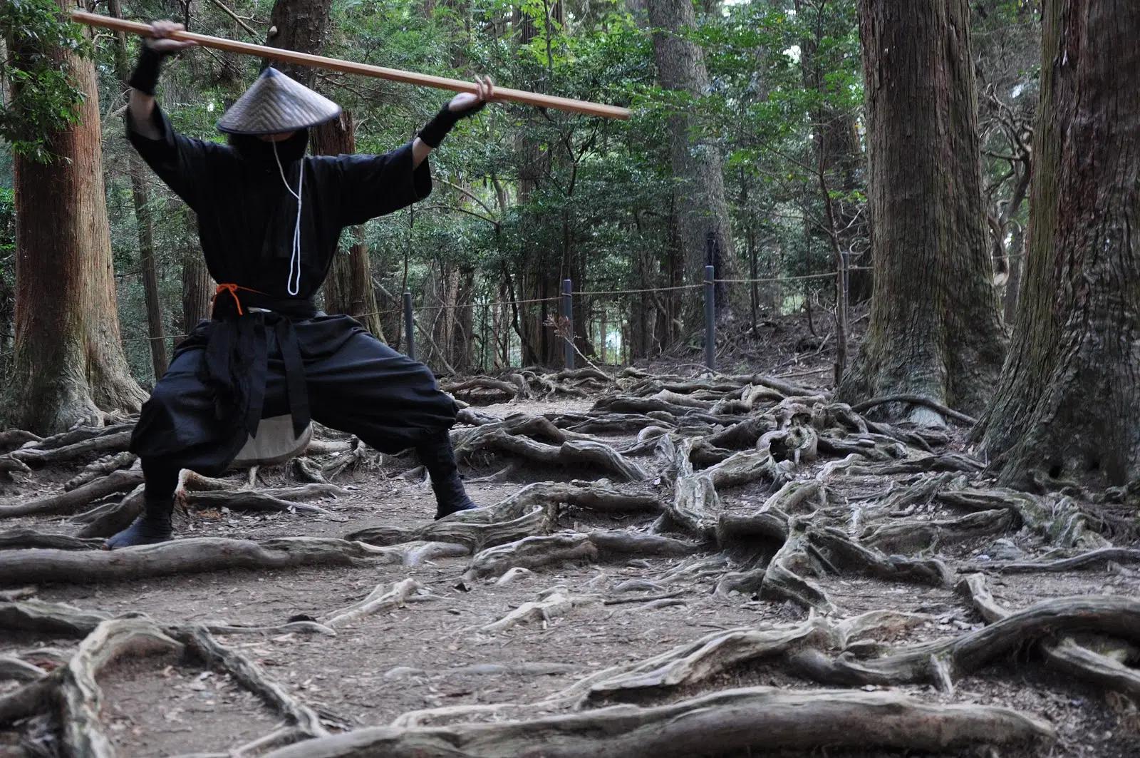 Ninja Trekking Tour in Kyoto’s Spiritual Mountains | Cultureful Japan
