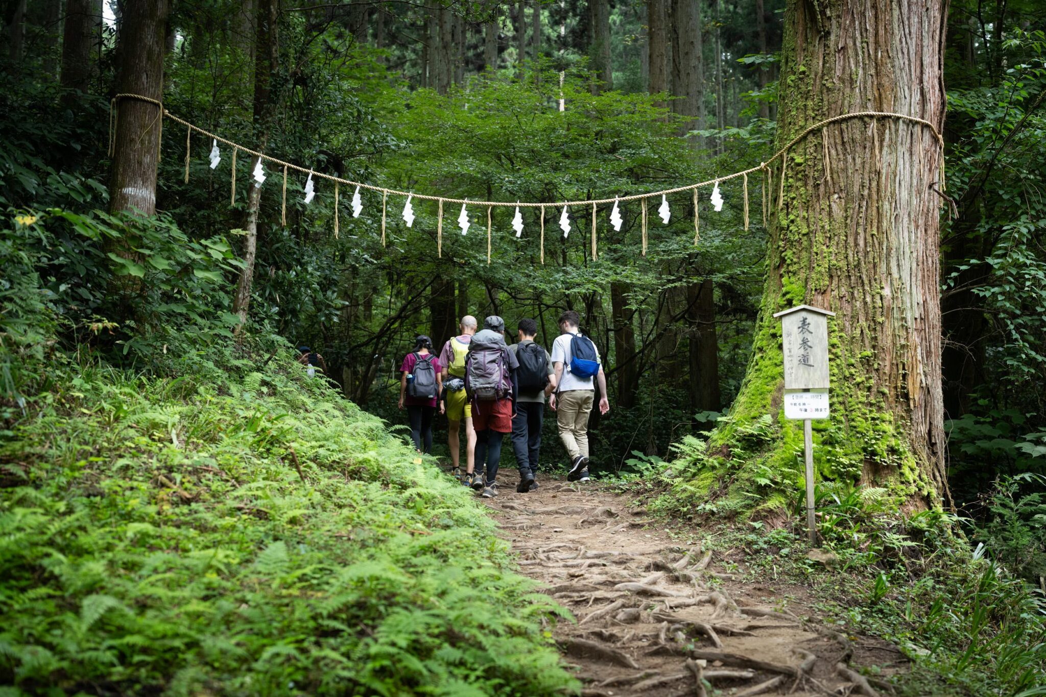 Oiwa Shrine Cultural Hiking Tour | Hitachi, Ibaraki